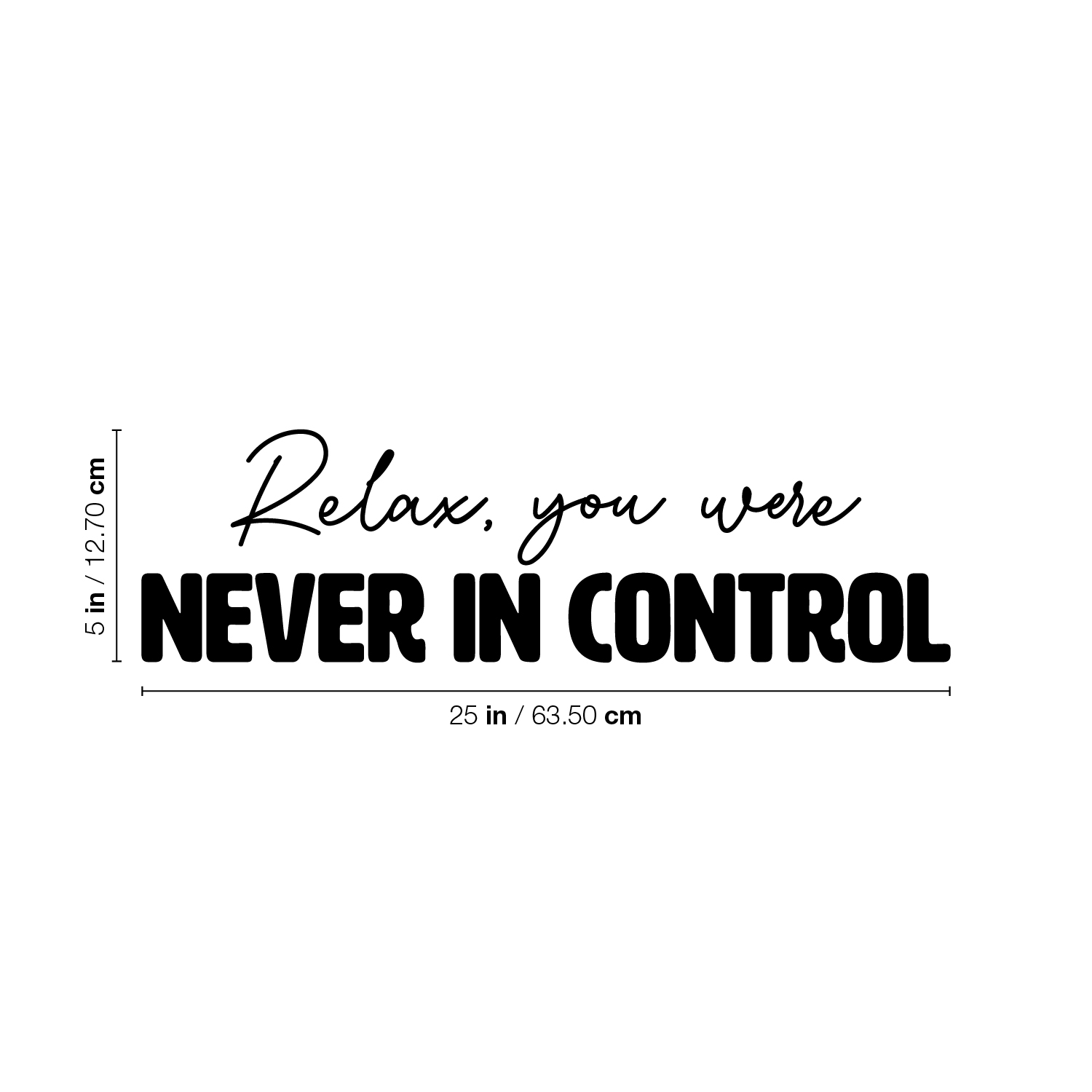 Relax You were Never in Control - Black 5" x 25" Wall Art Decal Vinyl ...